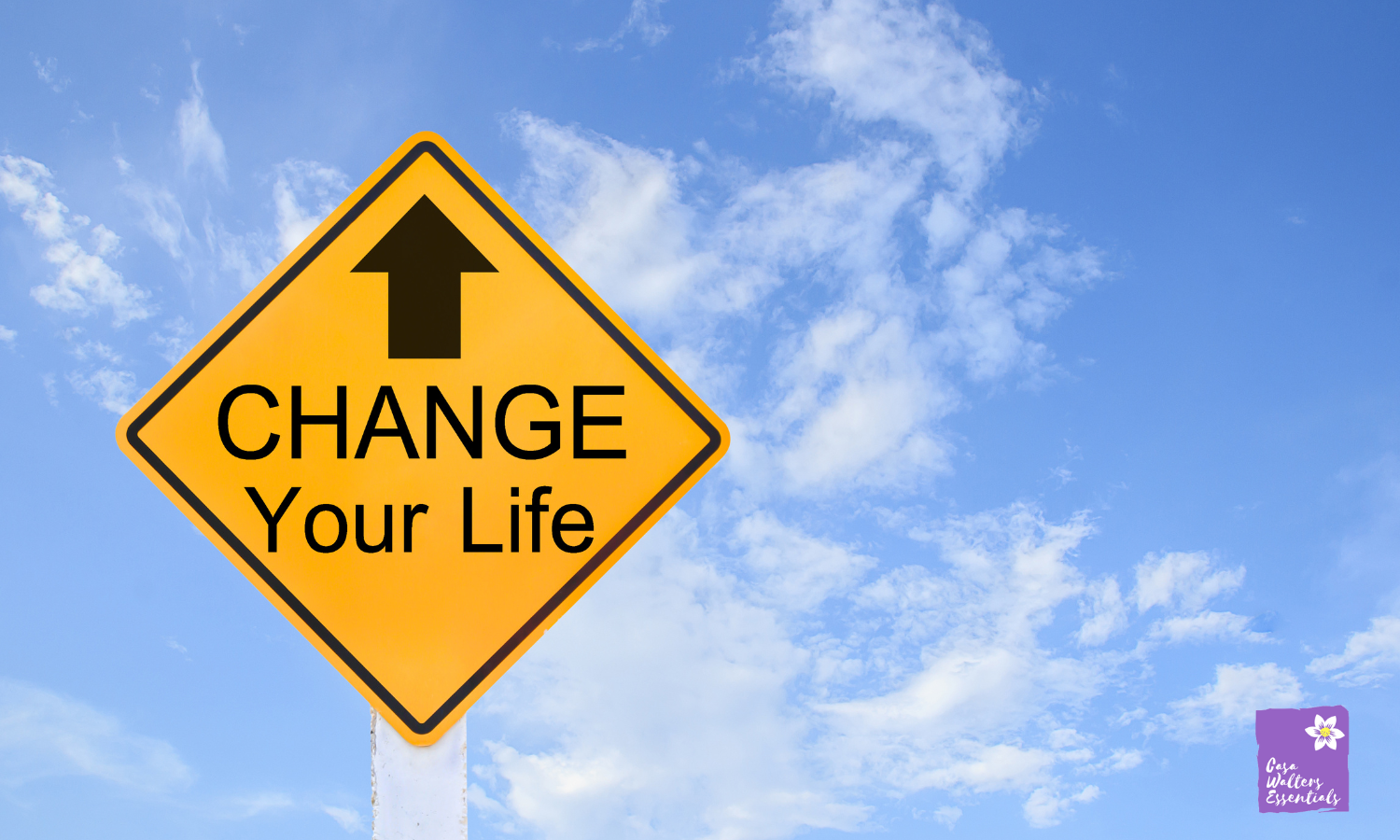 How to Create New Possibilites in Your Life - Casa Walters Essentials